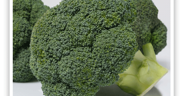Seminte de broccoli
