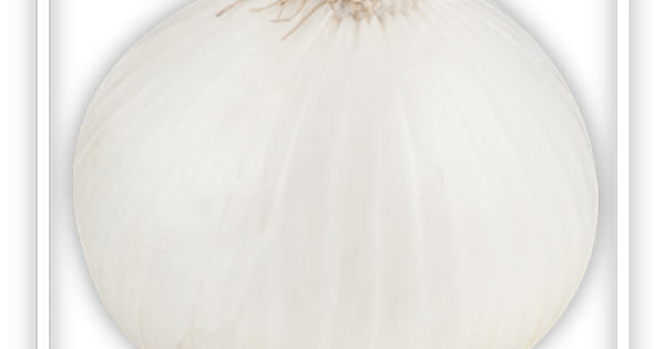 Seminte de ceapa alba WHITE SKY F1