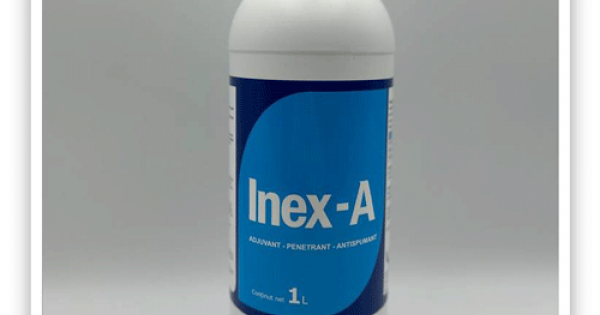 INEX-A